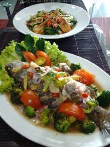 Benefits of eating fish | Oze Marketing | Memo Plus Gold Memory Enhancer